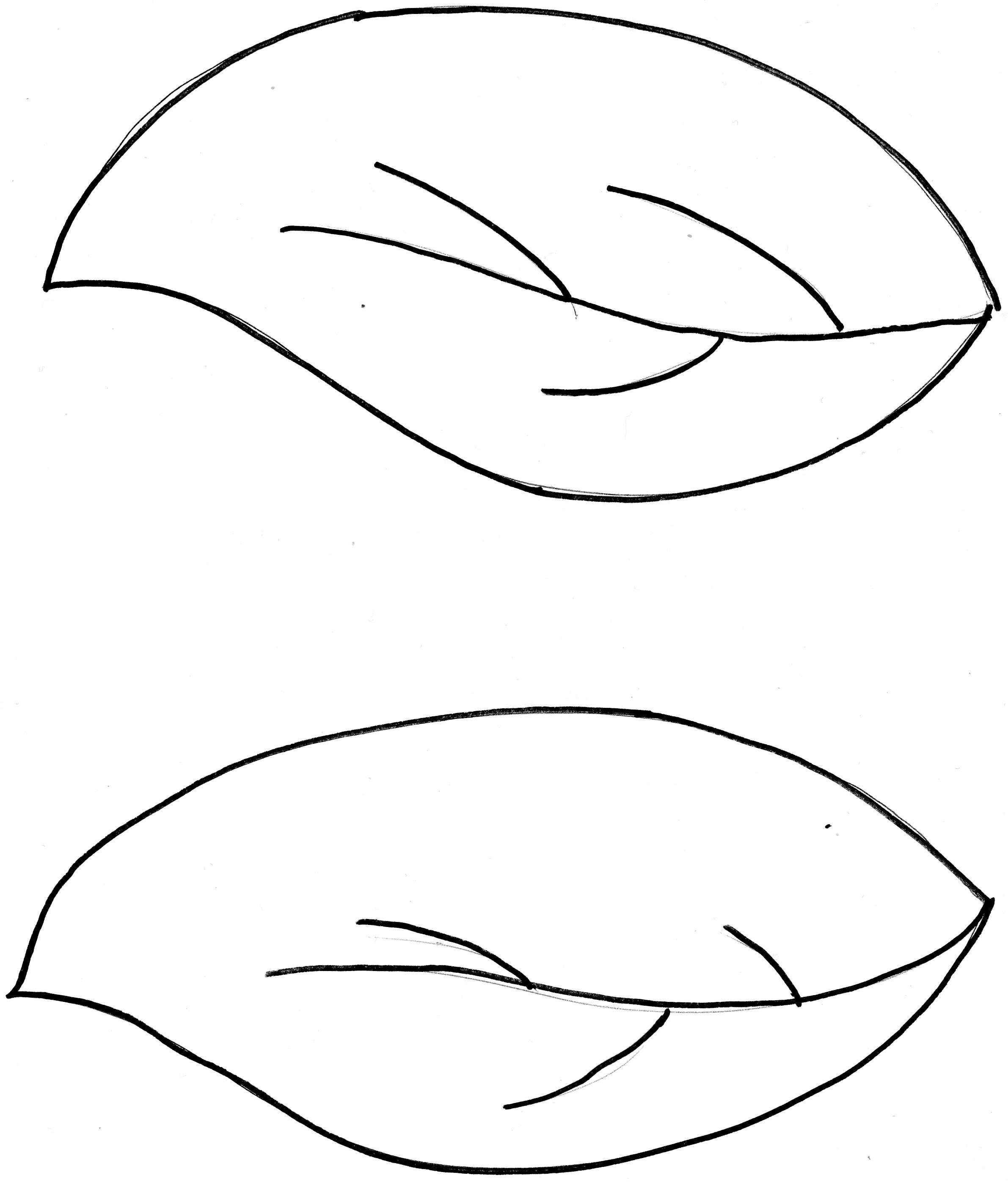 Jungle Leaf Template Cliparts co