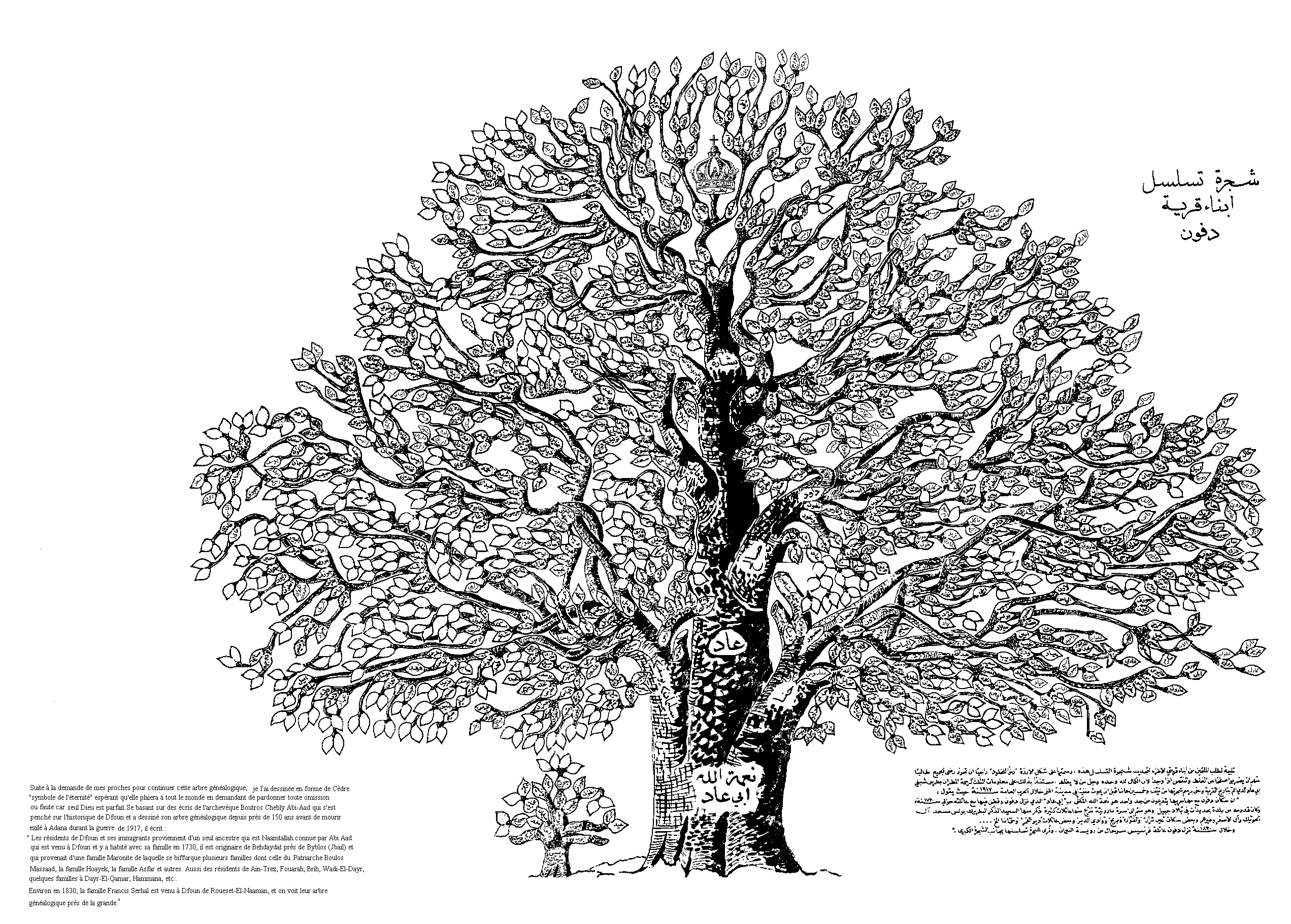 Family Tree Images Graphics Cliparts co