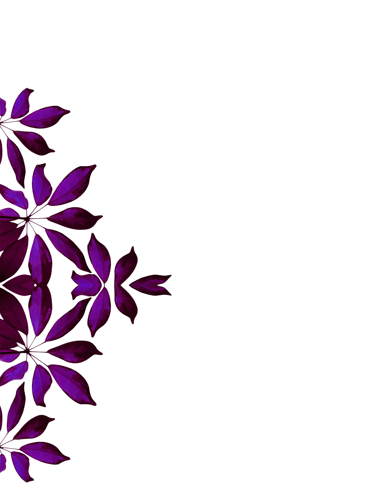 Free Page Border Designs Cliparts co Free Page Border Designs Cliparts co