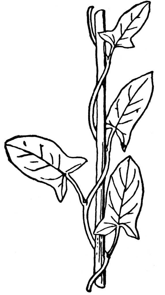 Climbing Clip Art Cliparts co