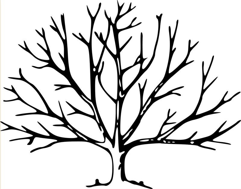 Bare Tree Template Cliparts co