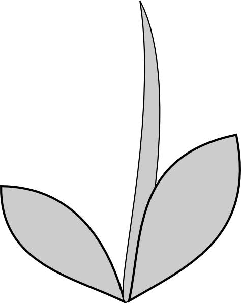 Free Printable Flower Stem Template ClipArt Best Cliparts co