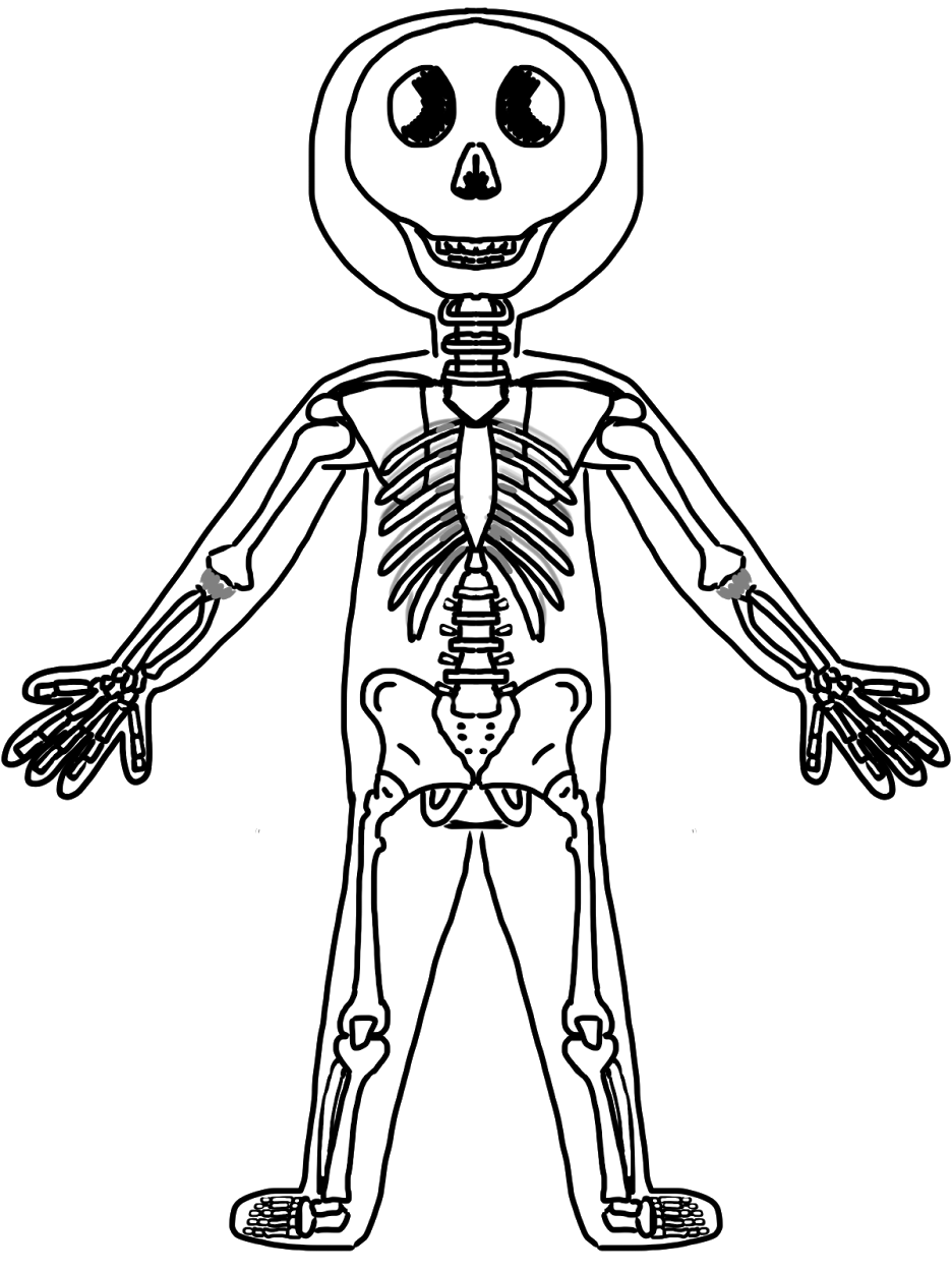 Skeleton Picture For Kids Cliparts co