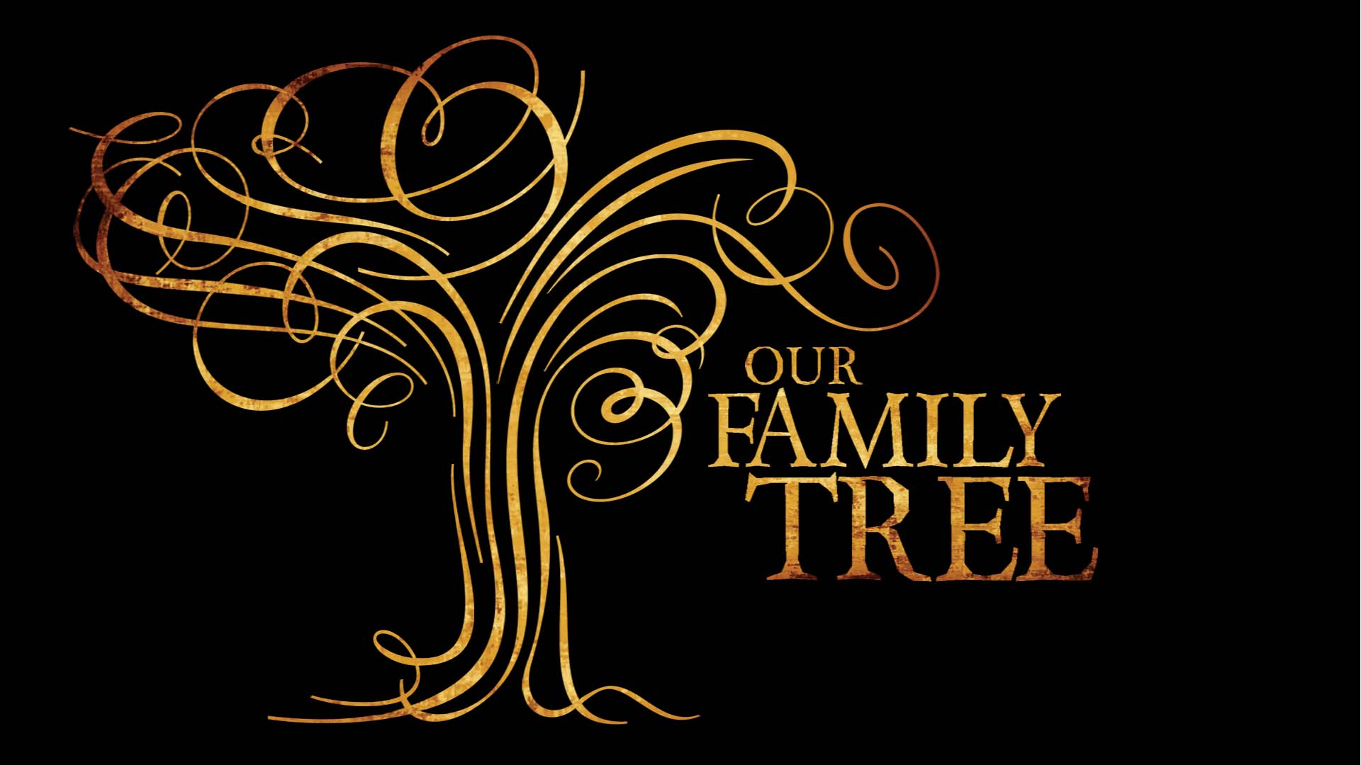 Family Tree Images Graphics Cliparts co