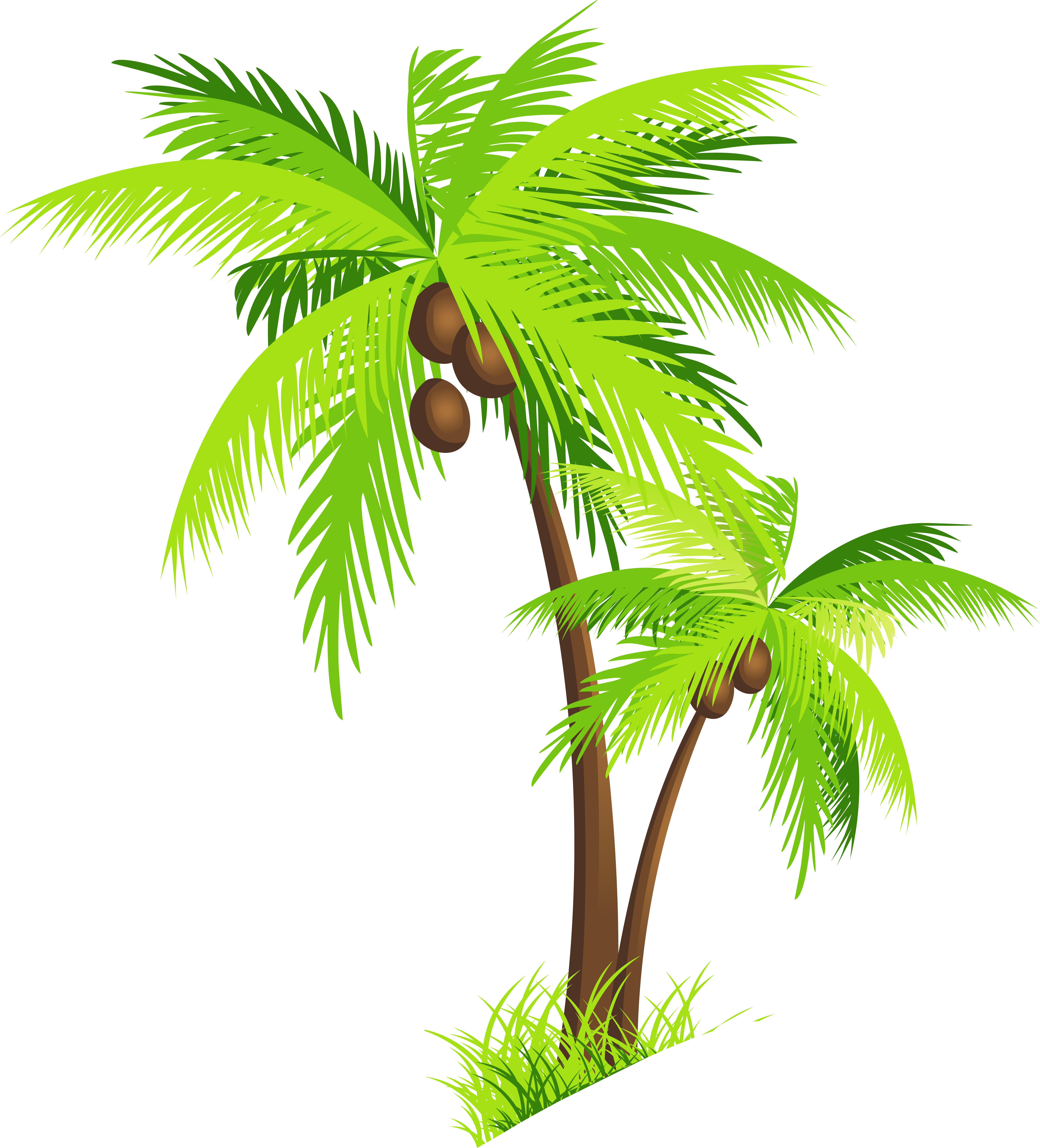 Coconut Tree Clipart Cliparts co