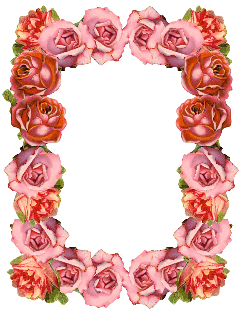 Rose Page Border Cliparts co