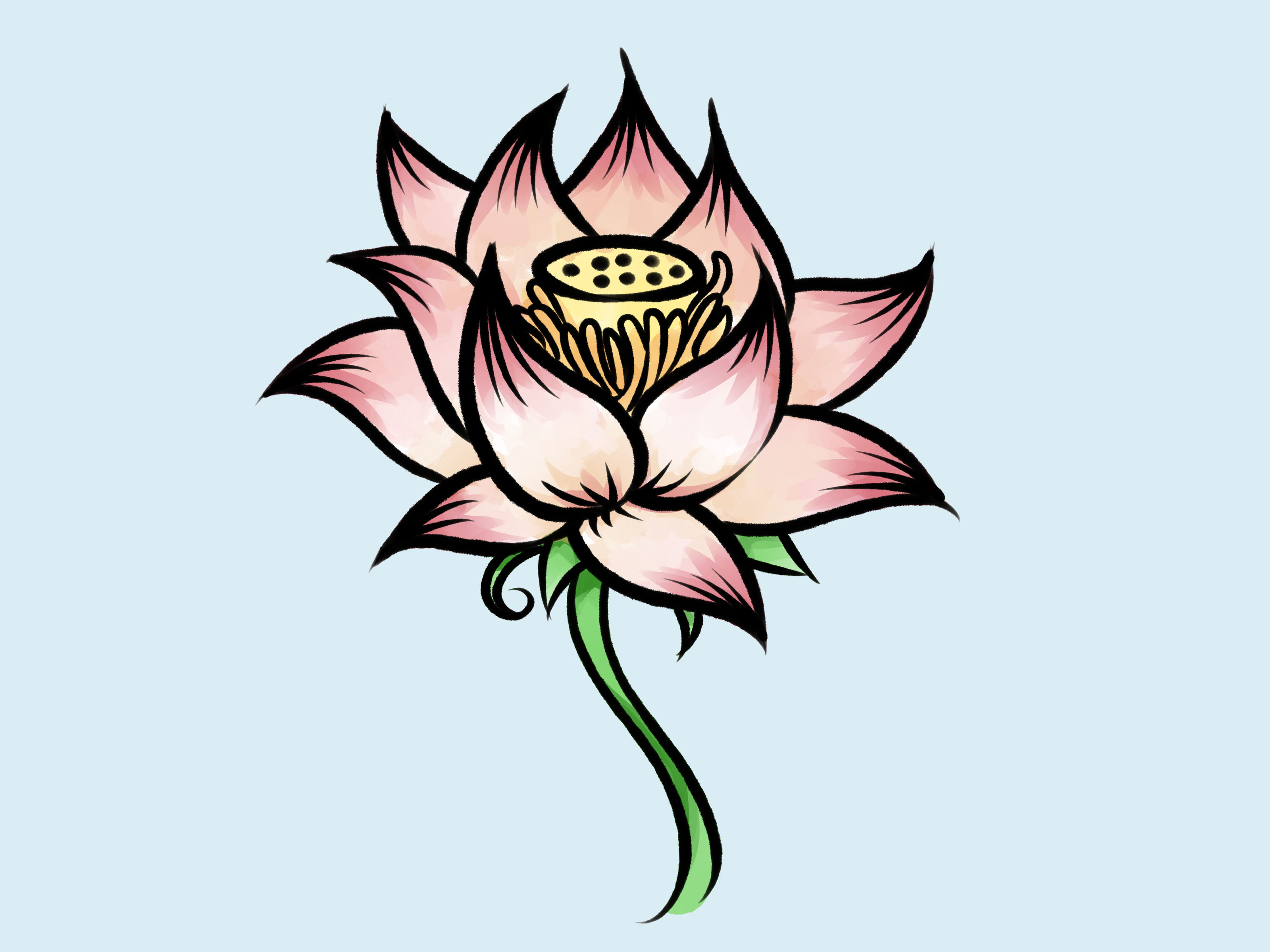 Lotus Flower Drawing Flower Drawing Easy Cartoon Drawings Images And 