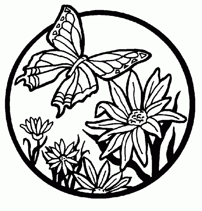 Black And White Butterfly Images Cliparts co