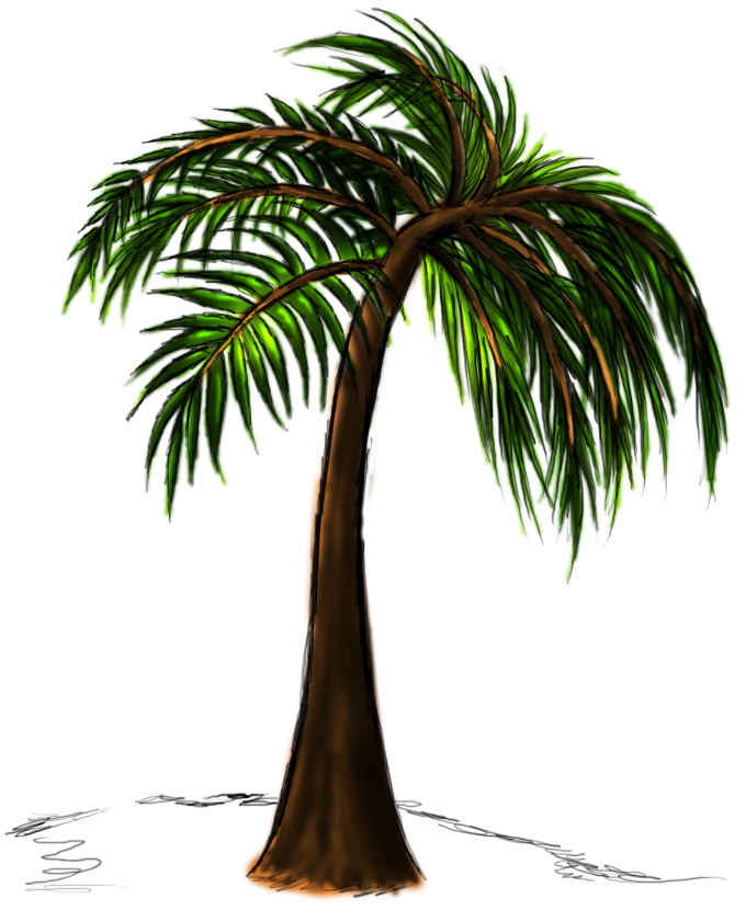 Palm Tree Drawings Cliparts co