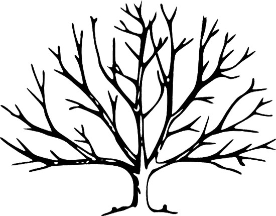 Bare Tree Template Cliparts co