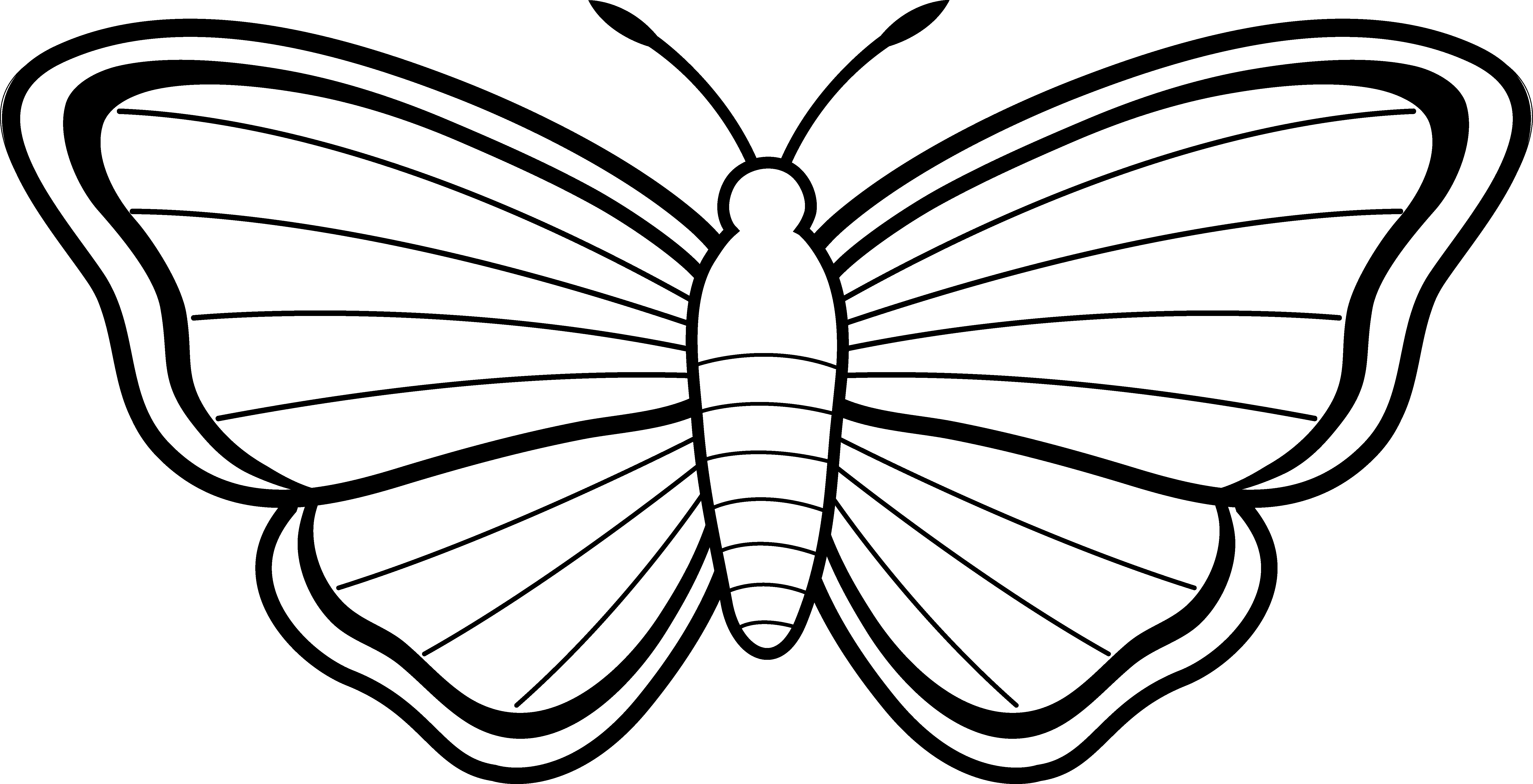 Butterfly Outline Clip Art Clipartsco Monarch Butterfly Outline 