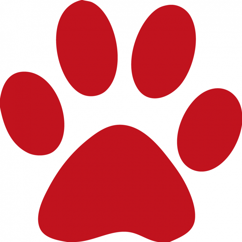 Dog Paw Print Template Cliparts co