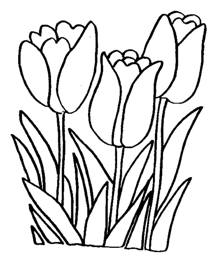 Tulip Stencil Free Cliparts co