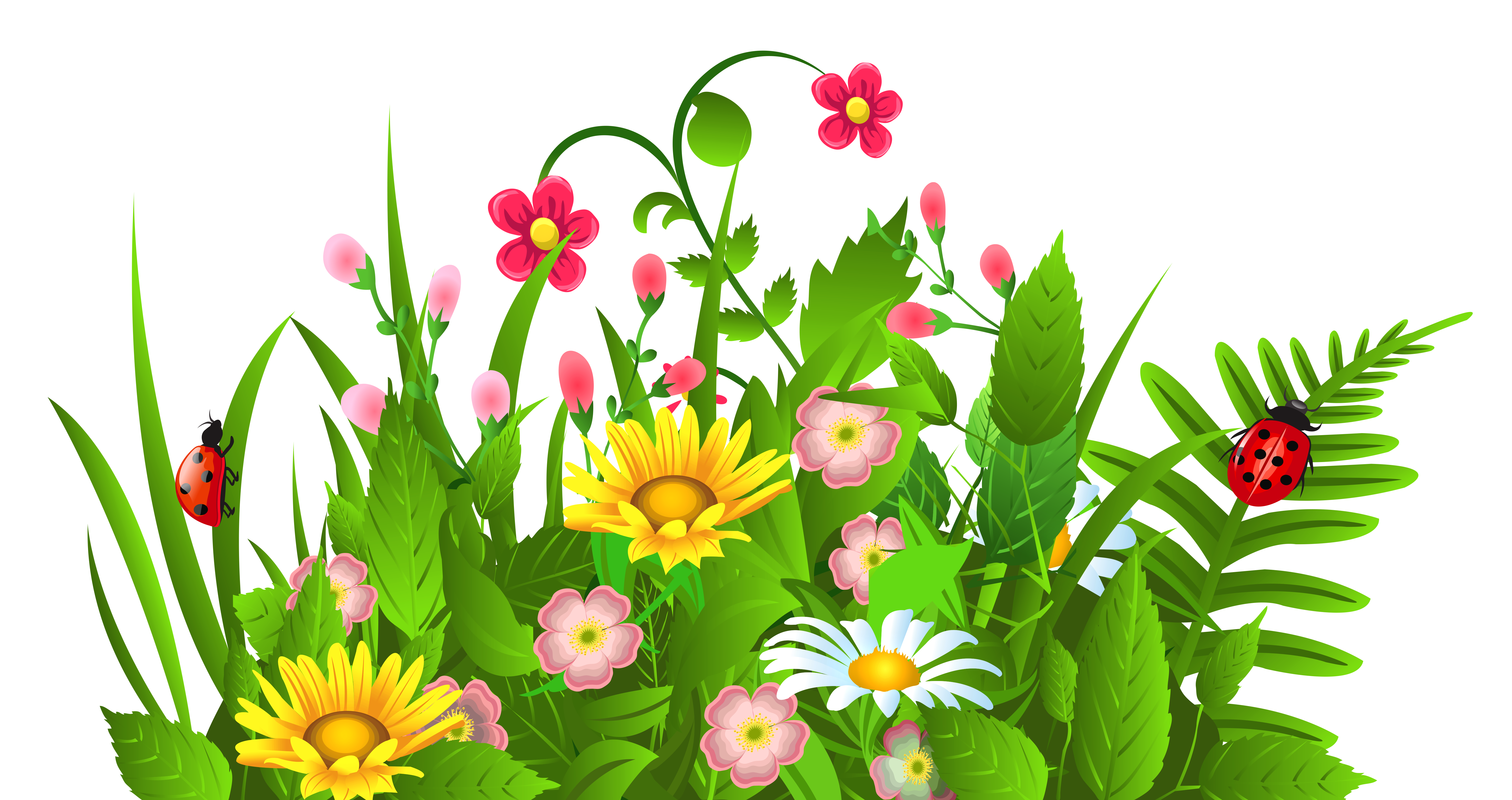 Grass Clip Art Free Cliparts co
