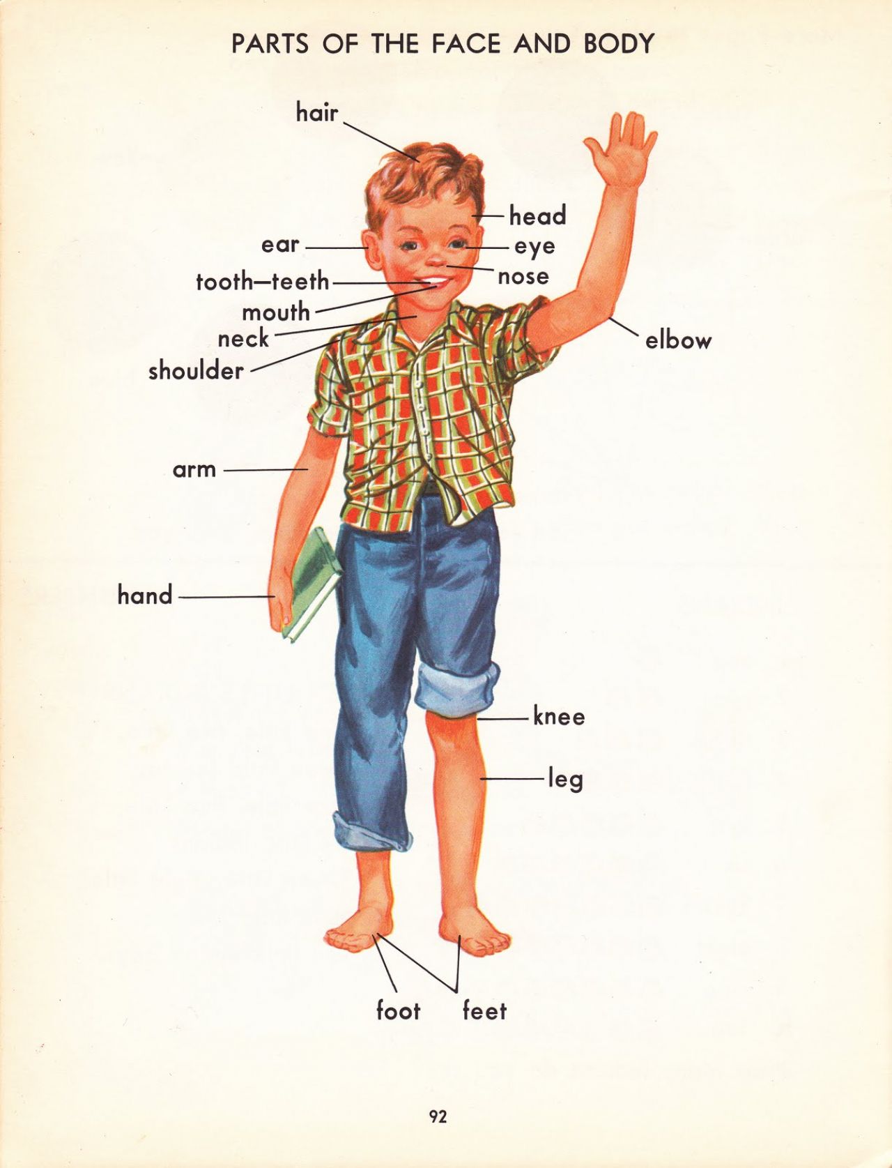 Human Body Parts Cliparts co