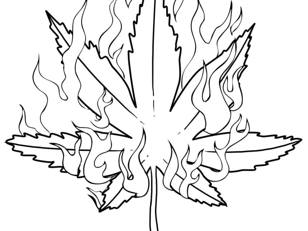 Weed Plant Drawing Cliparts co