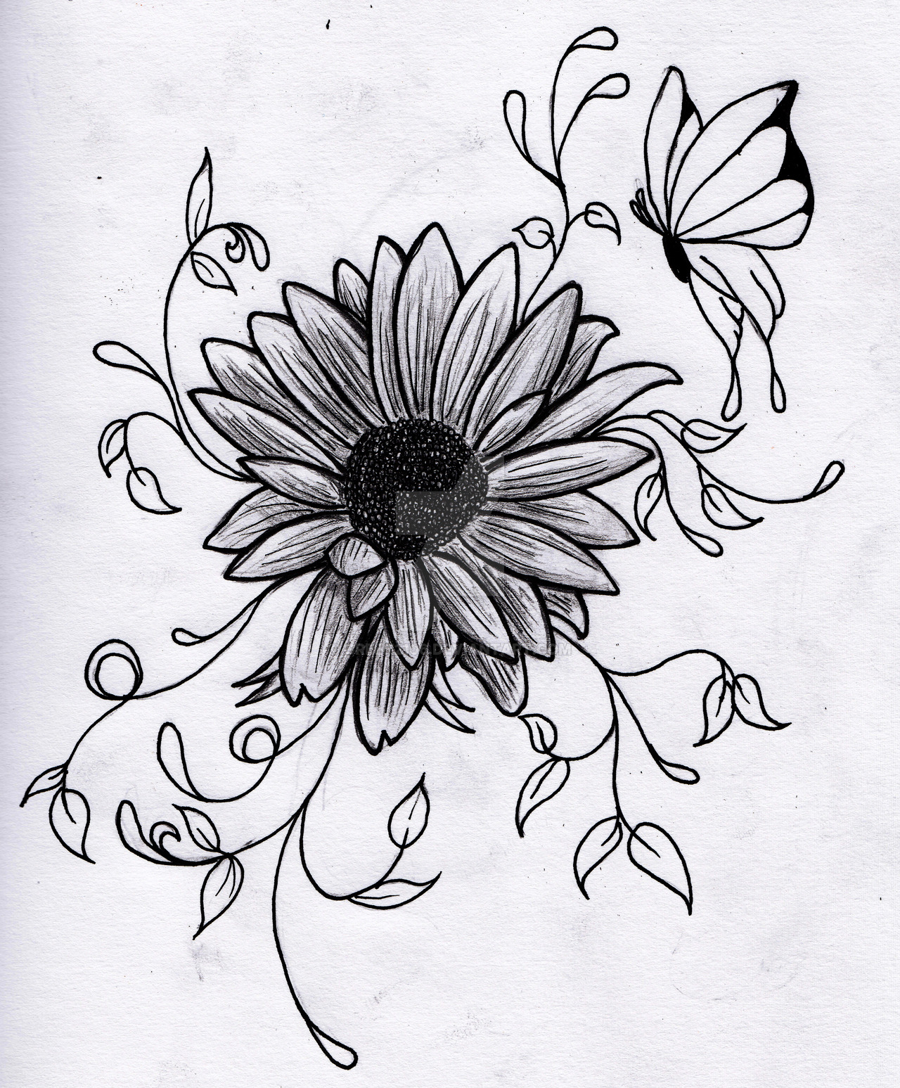 Flower Drawing Cliparts co