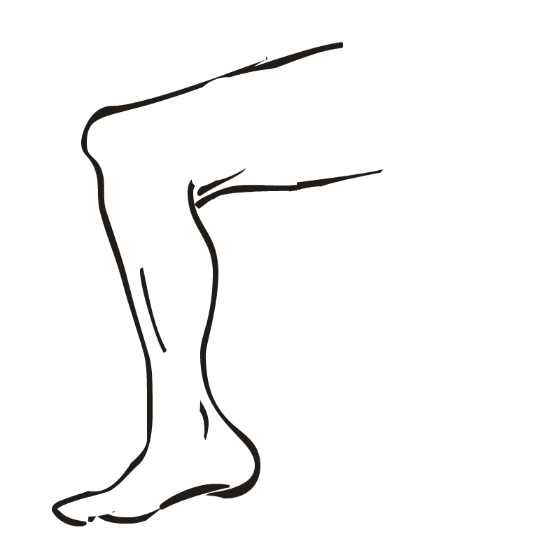 Legs Clipart Cliparts co Legs Clipart Cliparts co