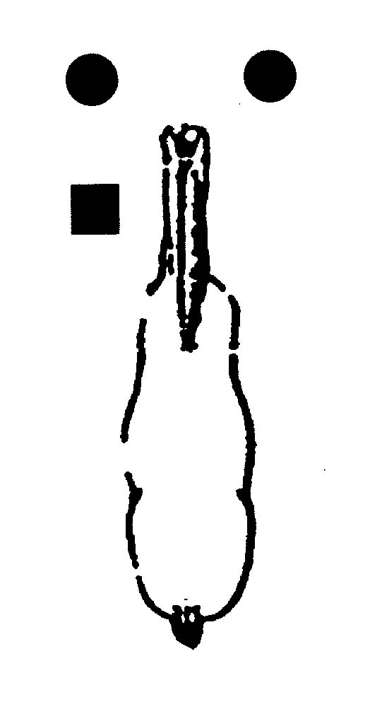 Showmanship - Cliparts.co