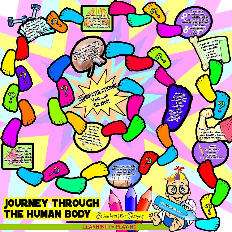BODY SYSTEMS: Journey To The Human Body Board Game - Cliparts.co