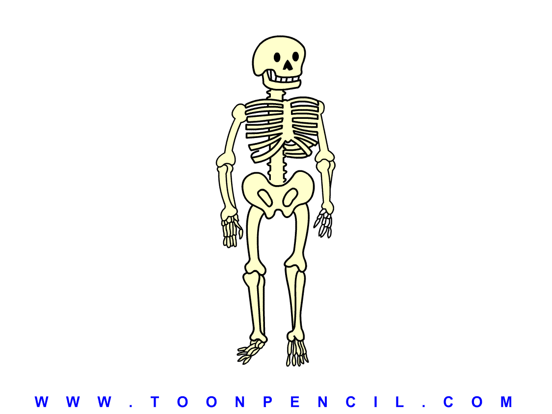 Kids Skeleton Drawing - Cliparts.co